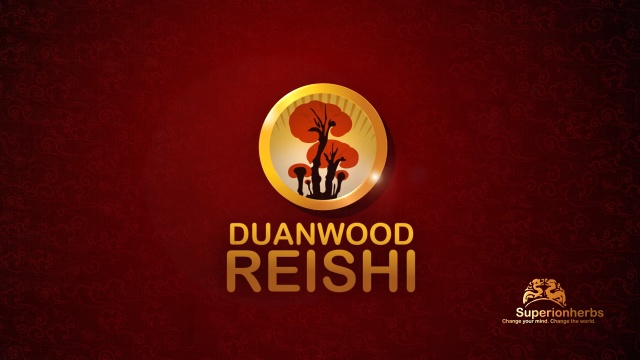 REISHI, Duanwood Red Reishi,100% zarodniki | SUPERIONHERBS