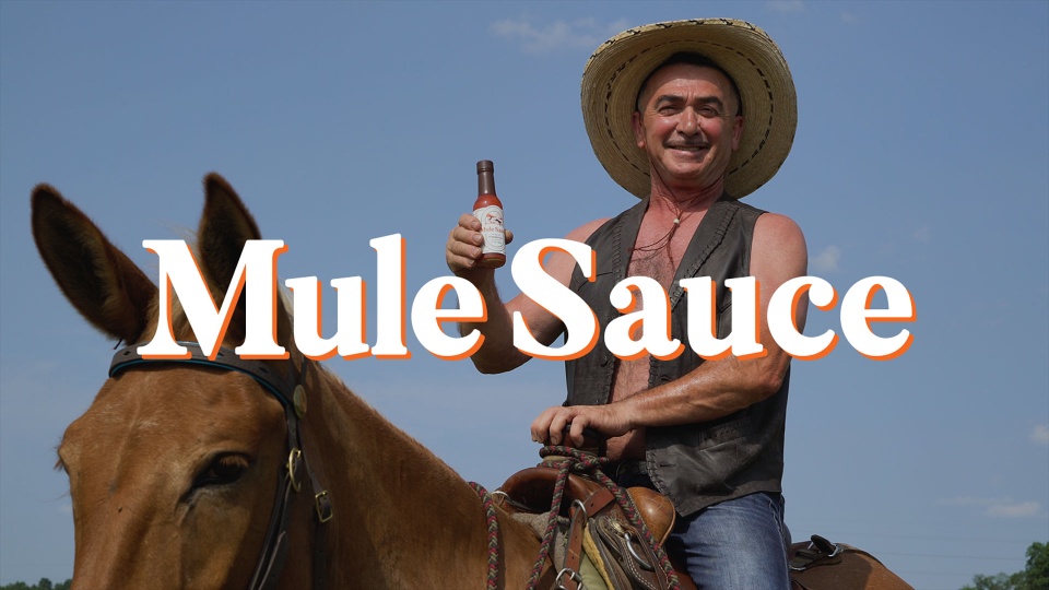 ¿Qué es Mule Sauce? | Sticker Mule Mexico