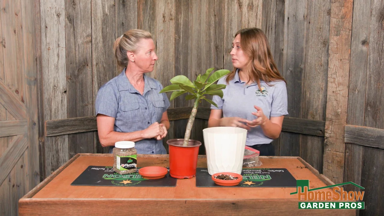 Videos - Nelson Plant Food