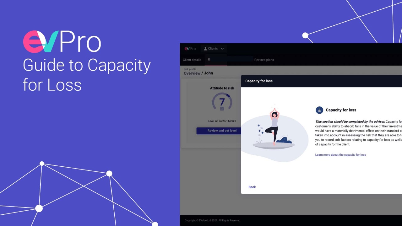 EVPro Risk: Guide to Capacity for Loss