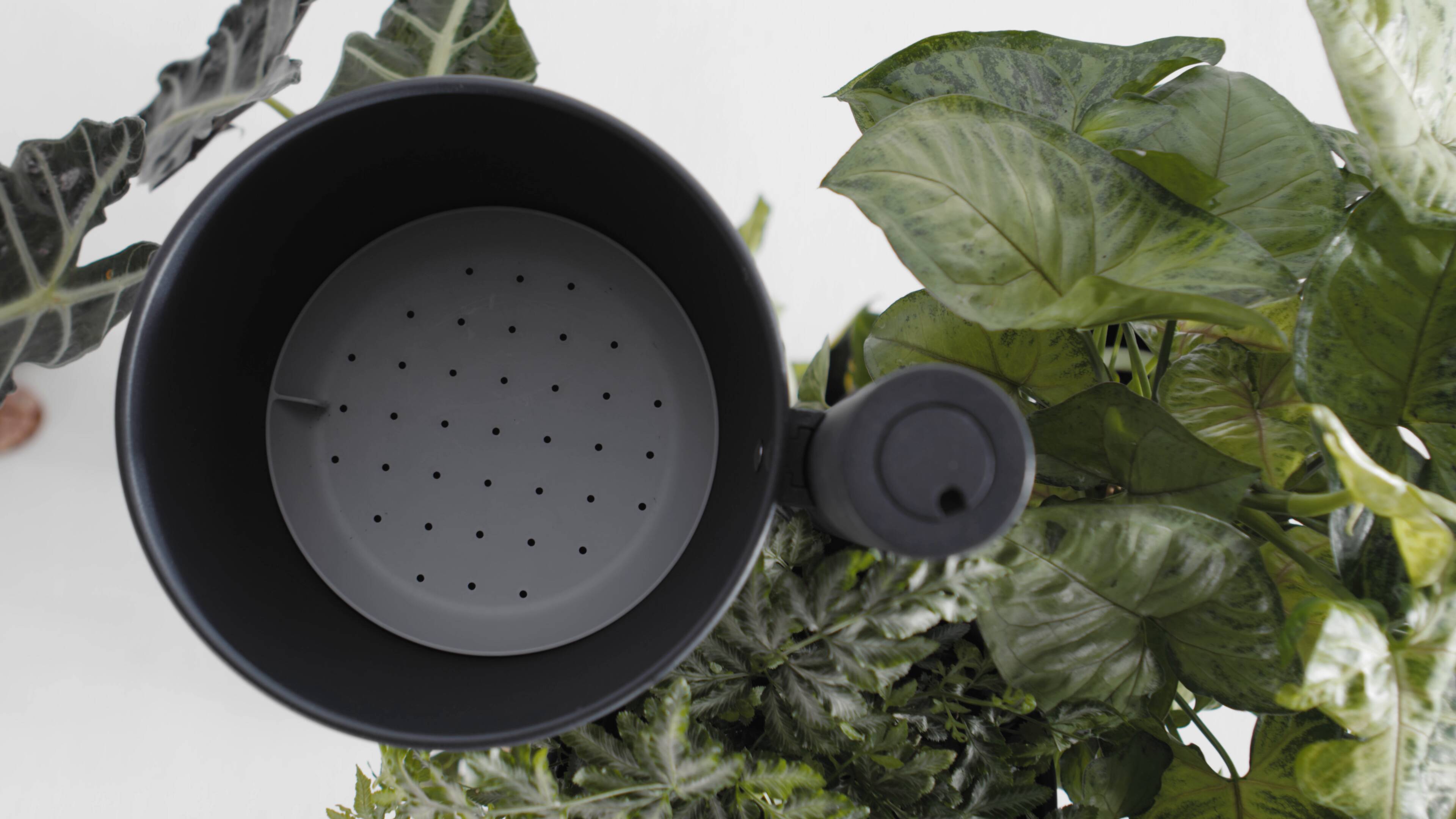 Story Planter | AFTEROOM